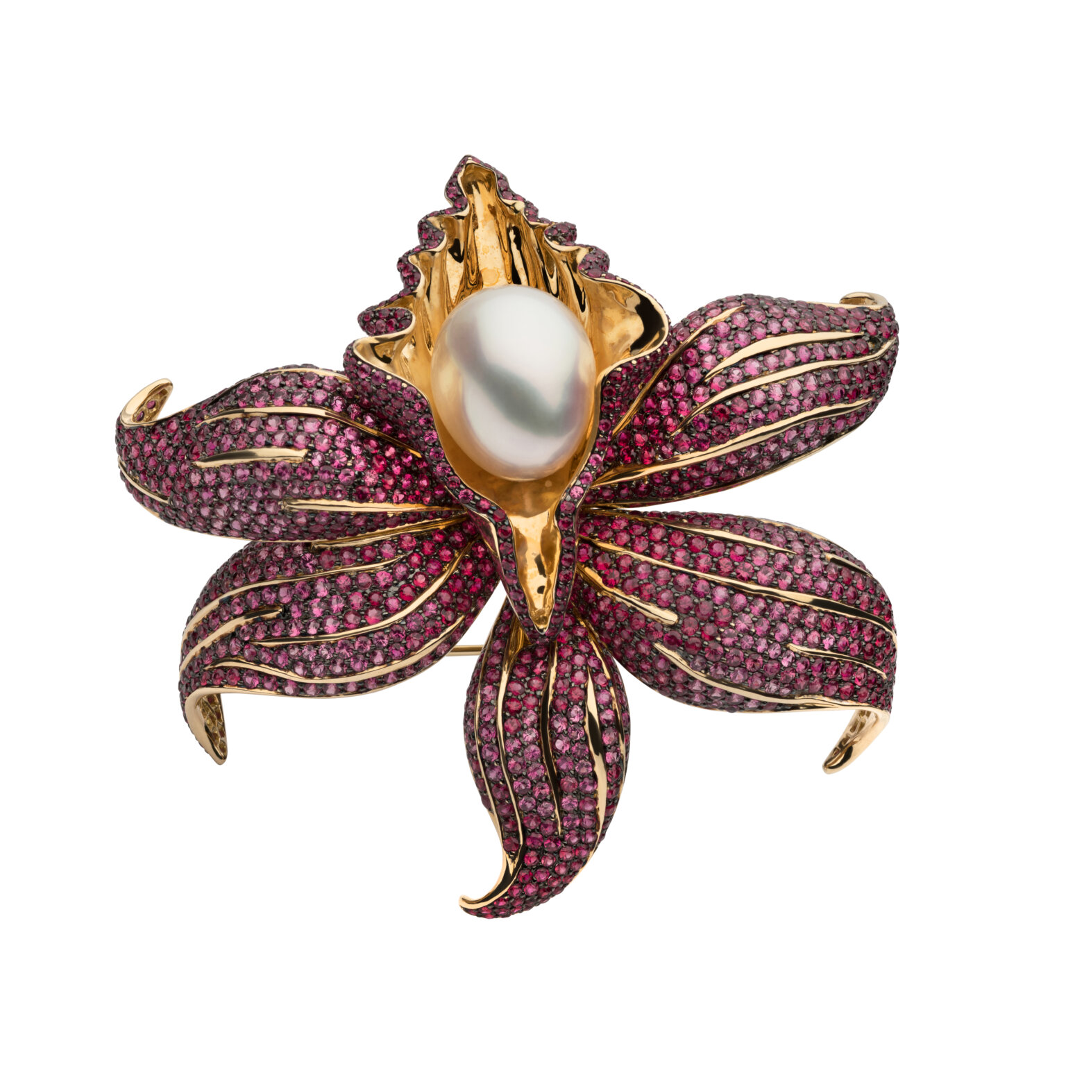 Brand Spotlight: Autore - The Couture Show